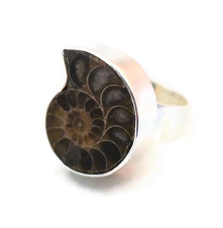 Ammonite Ring - בדרך הטבע