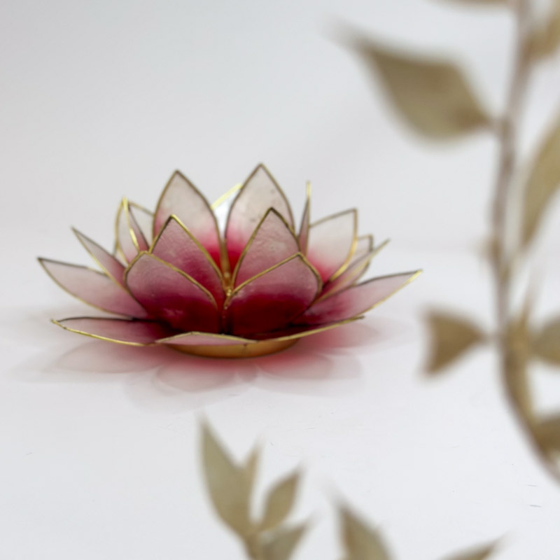 Lotus Shell Candle Holder – Ombre Red - בדרך הטבע