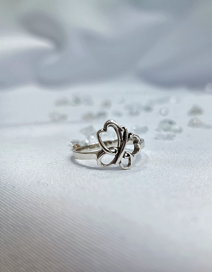 Butterfly Ring - בדרך הטבע