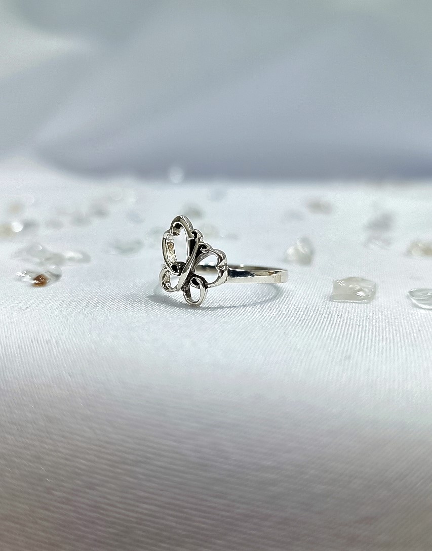 Butterfly Ring - בדרך הטבע
